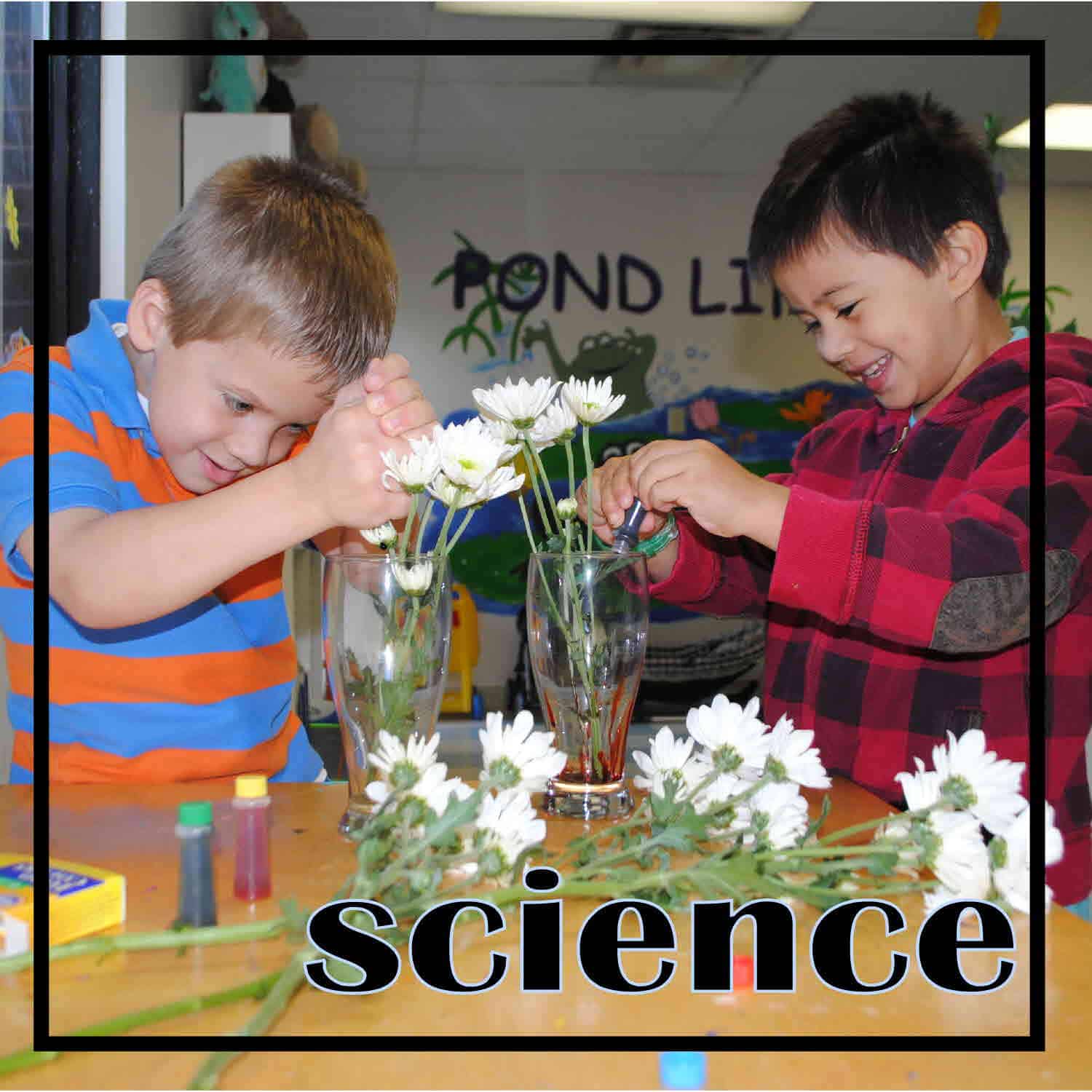 sciencetitlephoto - The Curriculum Corner 123