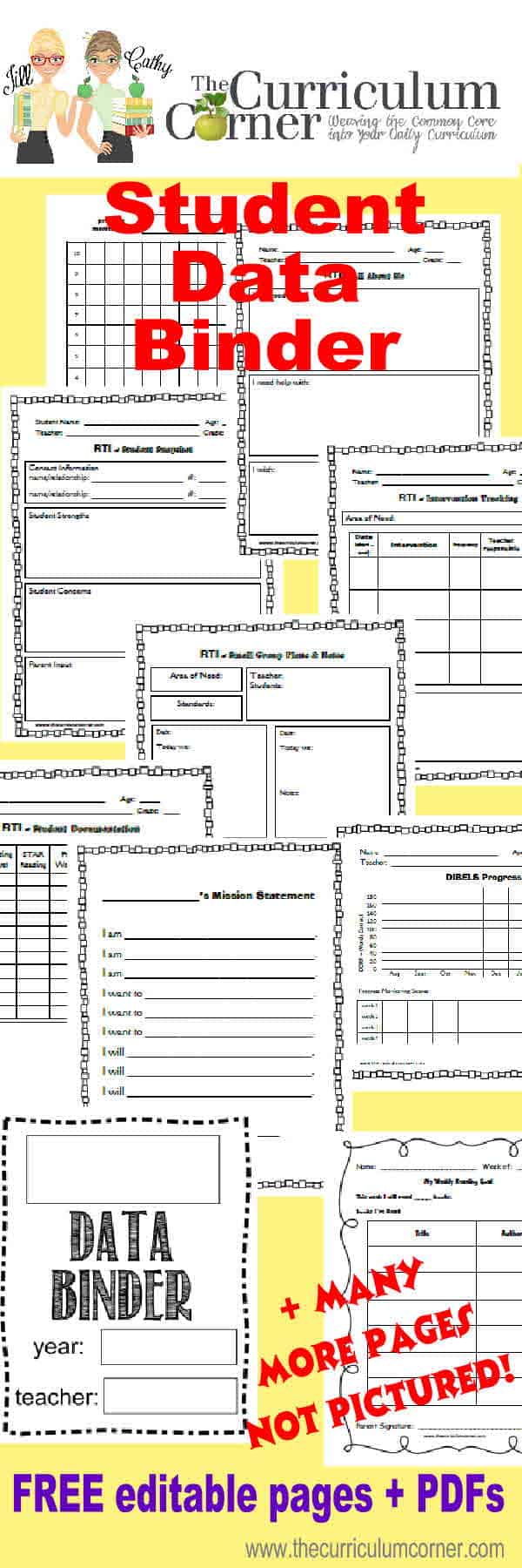 Student Data Binder for Tracking Progress in the Classroom FREE from ...