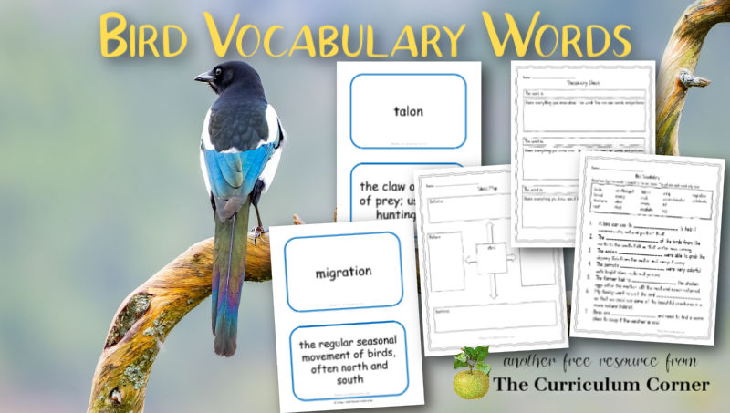 Bird Vocabulary Words - The Curriculum Corner 123