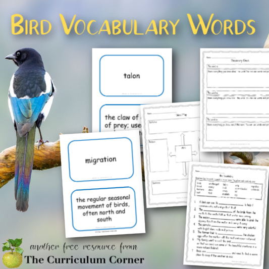 bird vocabulary 1 feature - The Curriculum Corner 123