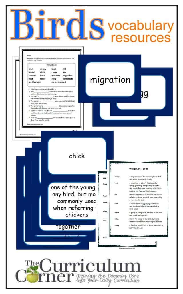 Birds Vocabulary Resources from The Curriculum Corner FREE - The ...