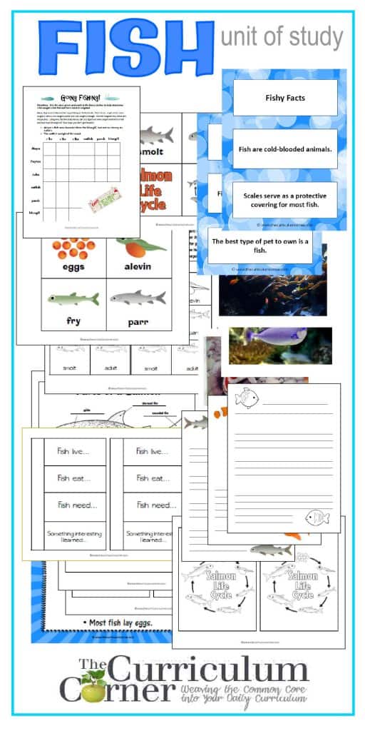 Fish Unit of Study | Science Notebook Pages | Photos | Lined Paper ...