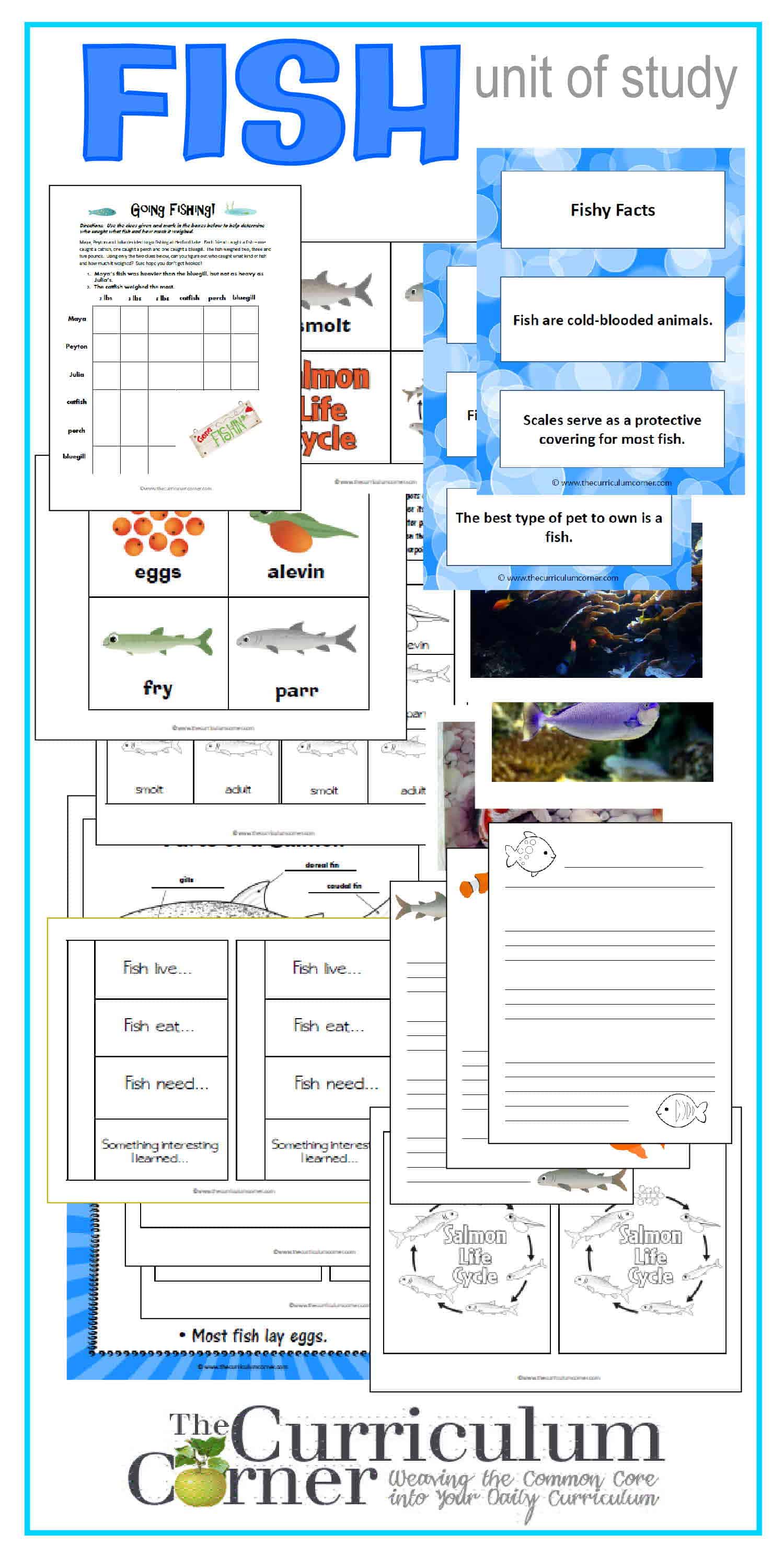 Fish: Mini-Unit Notebook Pages - The Curriculum Corner 123