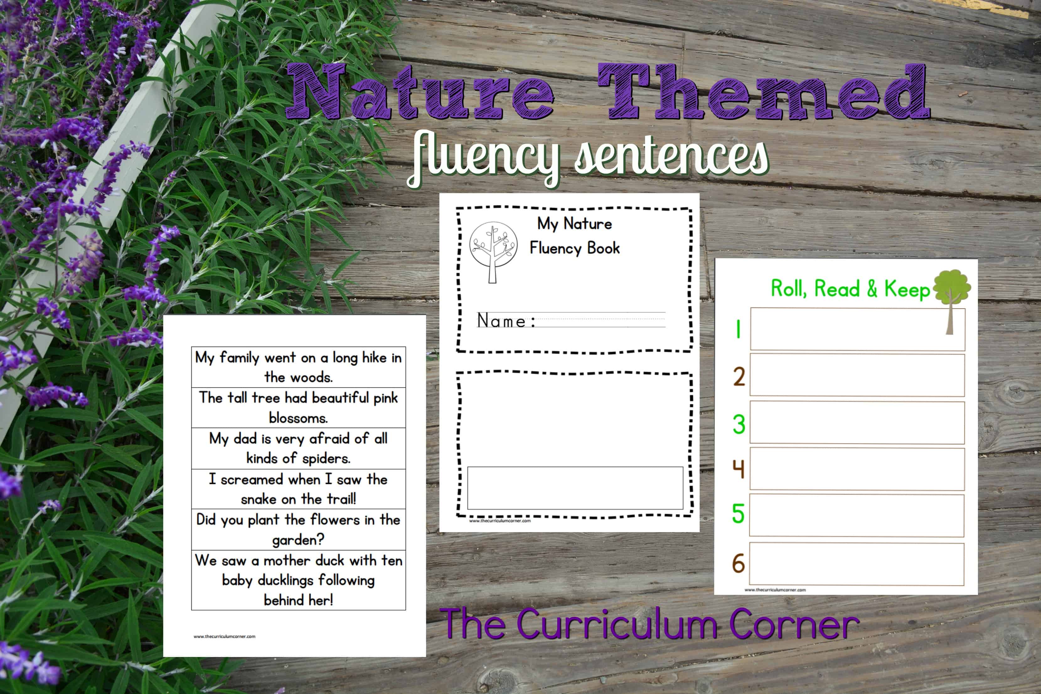Nature Themed Fluency Sentences - The Curriculum Corner 123