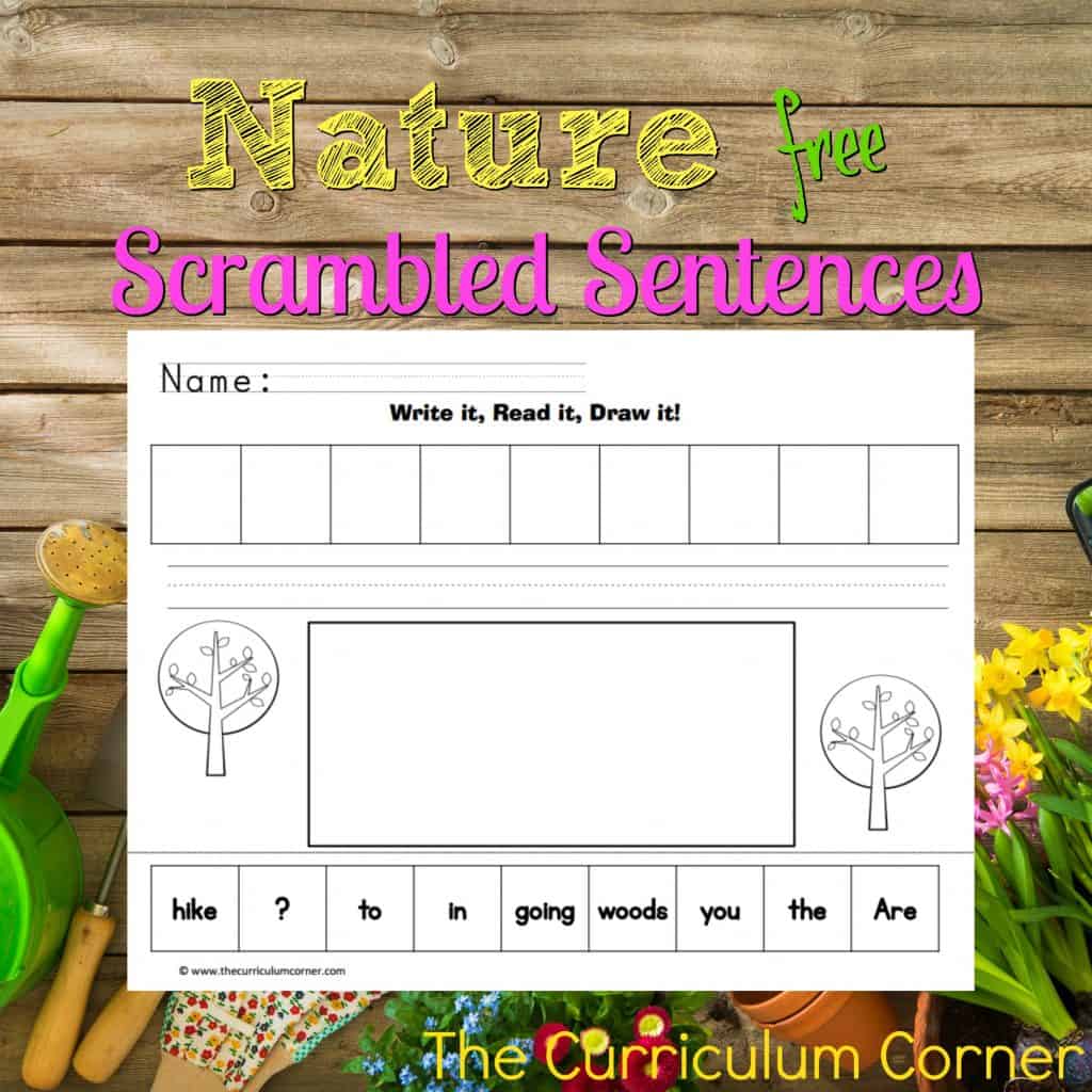 FREE Nature Scrambled Sentences Literacy Center from The Curriculum ...