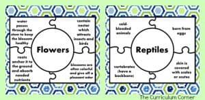 Main Ideas & Details in Informational Text - The Curriculum Corner 123