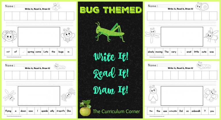 Cute Bugs Read, Write & Draw It! - The Curriculum Corner 123
