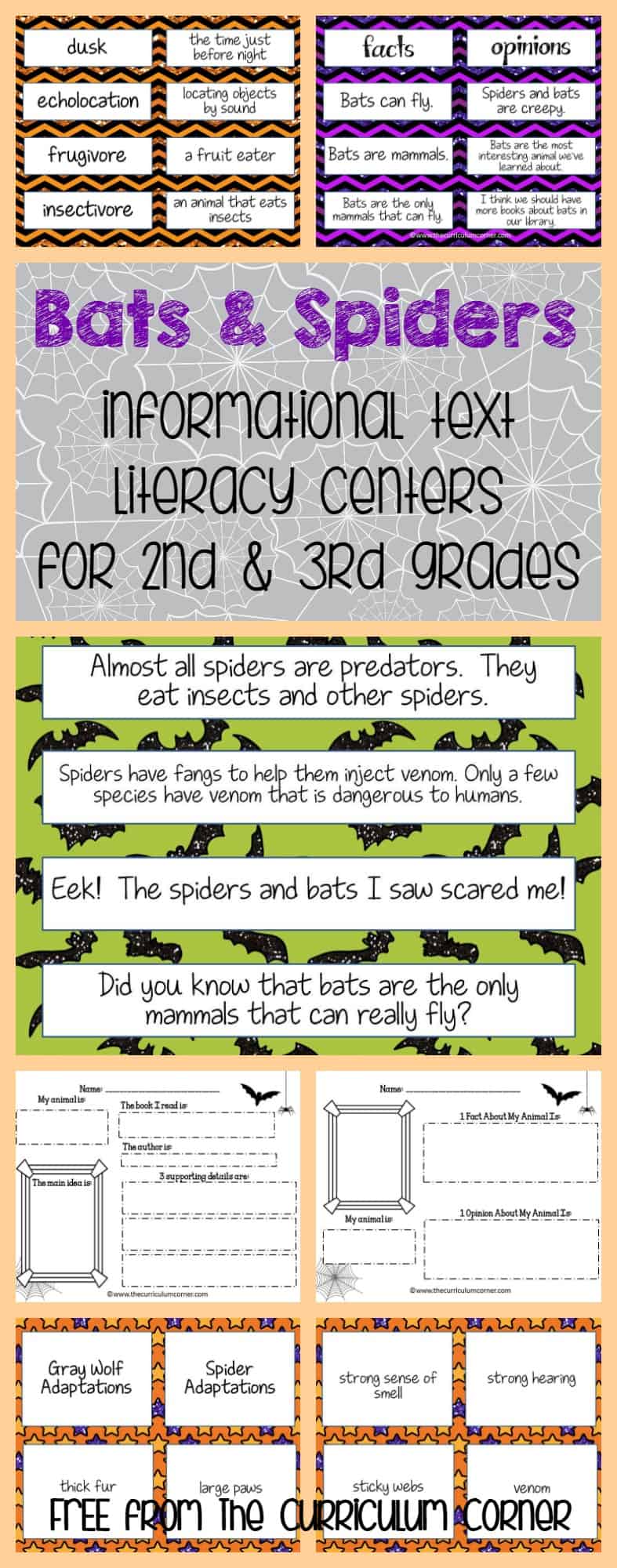 Bats & Spiders (Literacy Centers) - The Curriculum Corner 123