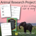 Informational Text Archives - The Curriculum Corner 123