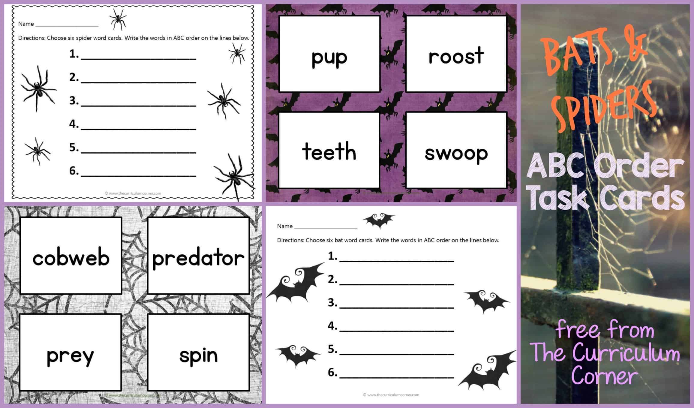 Bats & Spiders ABC Order Cards - The Curriculum Corner 123