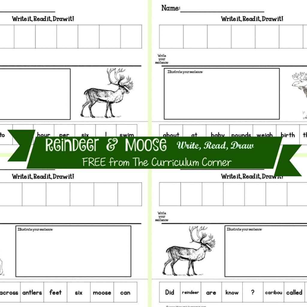 December Collection - The Curriculum Corner 123