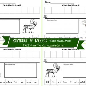 December Collection - The Curriculum Corner 123