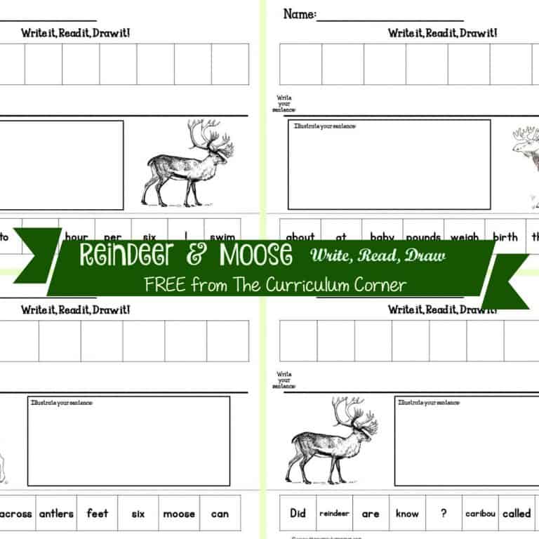 December Collection - The Curriculum Corner 123