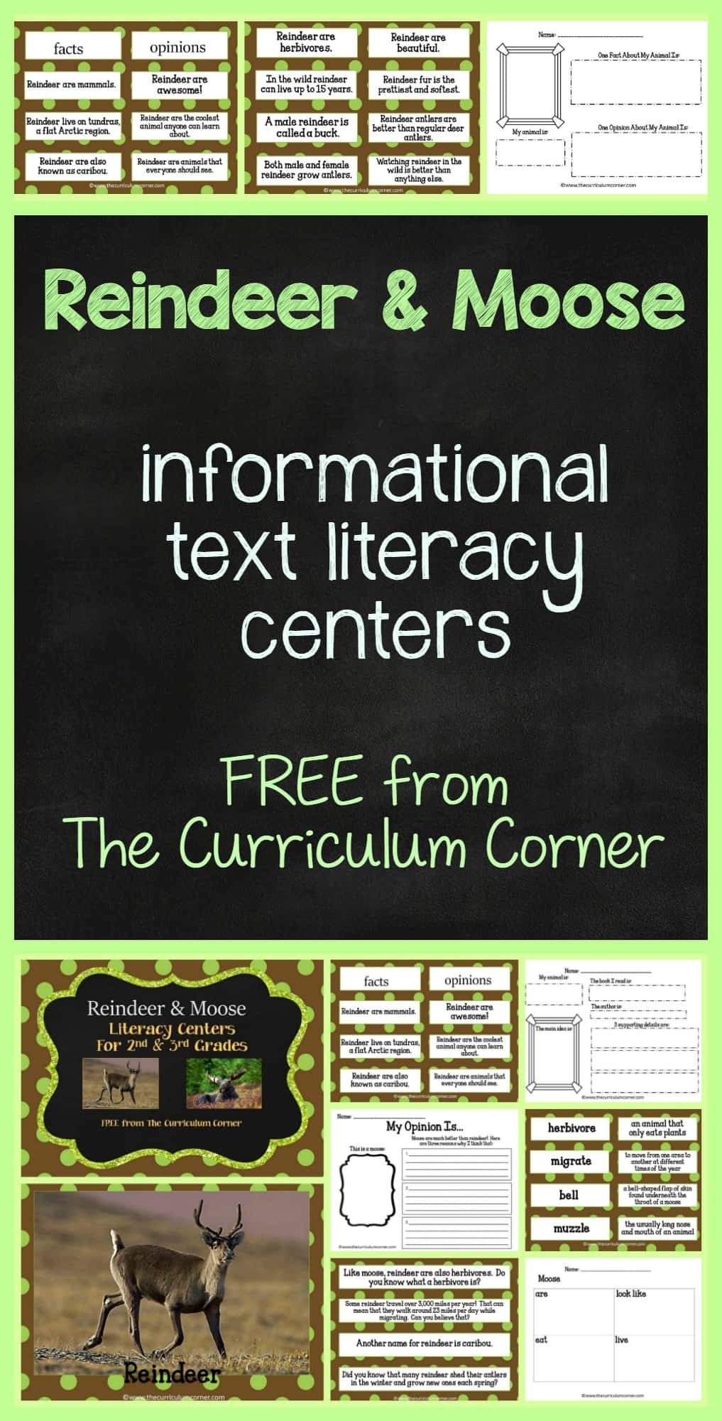 FREEBIE Reindeer & Moose Informational Text Literacy Centers for 2nd ...