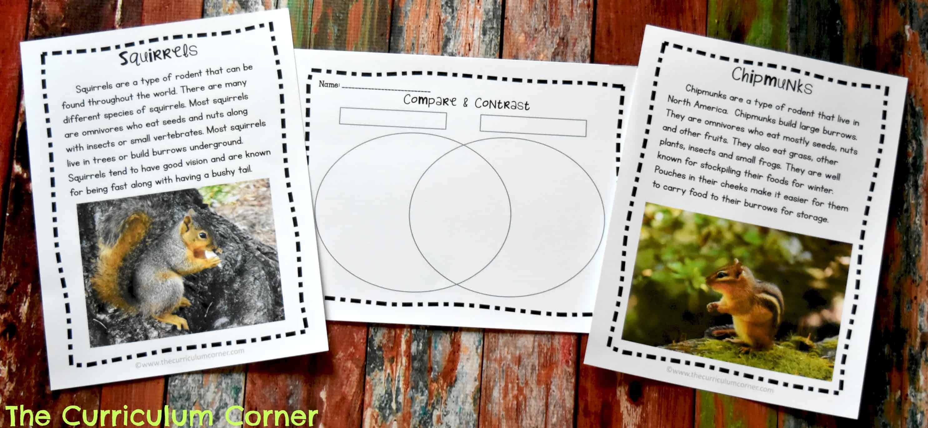 2nd Grade Sub Plans - Set 2 - The Curriculum Corner 123