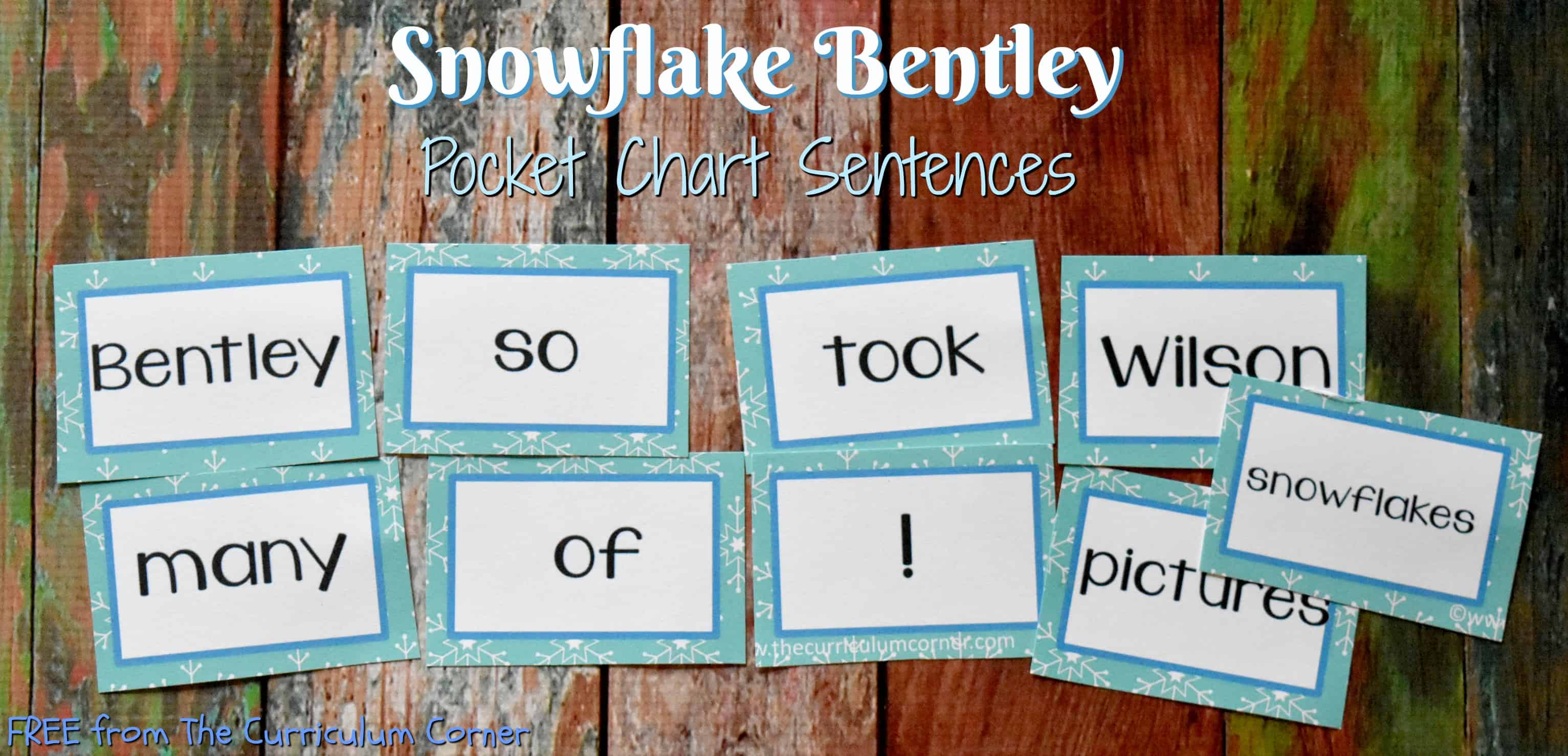 Book Study: Snowflake Bentley - The Curriculum Corner 123