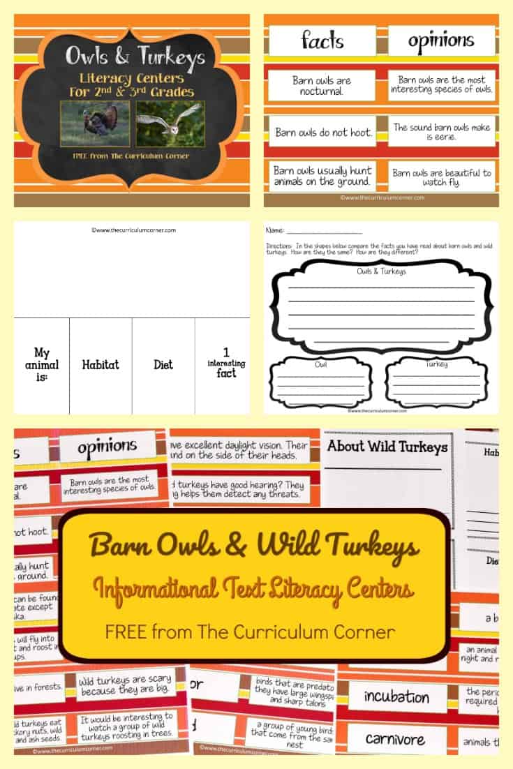 Owls & Turkeys Literacy Centers - The Curriculum Corner 123