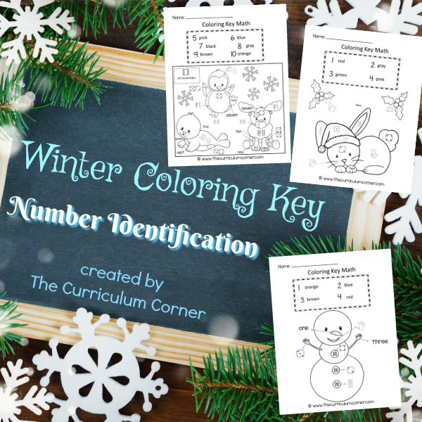 FREE Winter Coloring Key Number Identification Math - The Curriculum ...