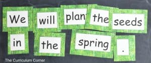 Pumpkin Patch Word Work Set - The Curriculum Corner 123