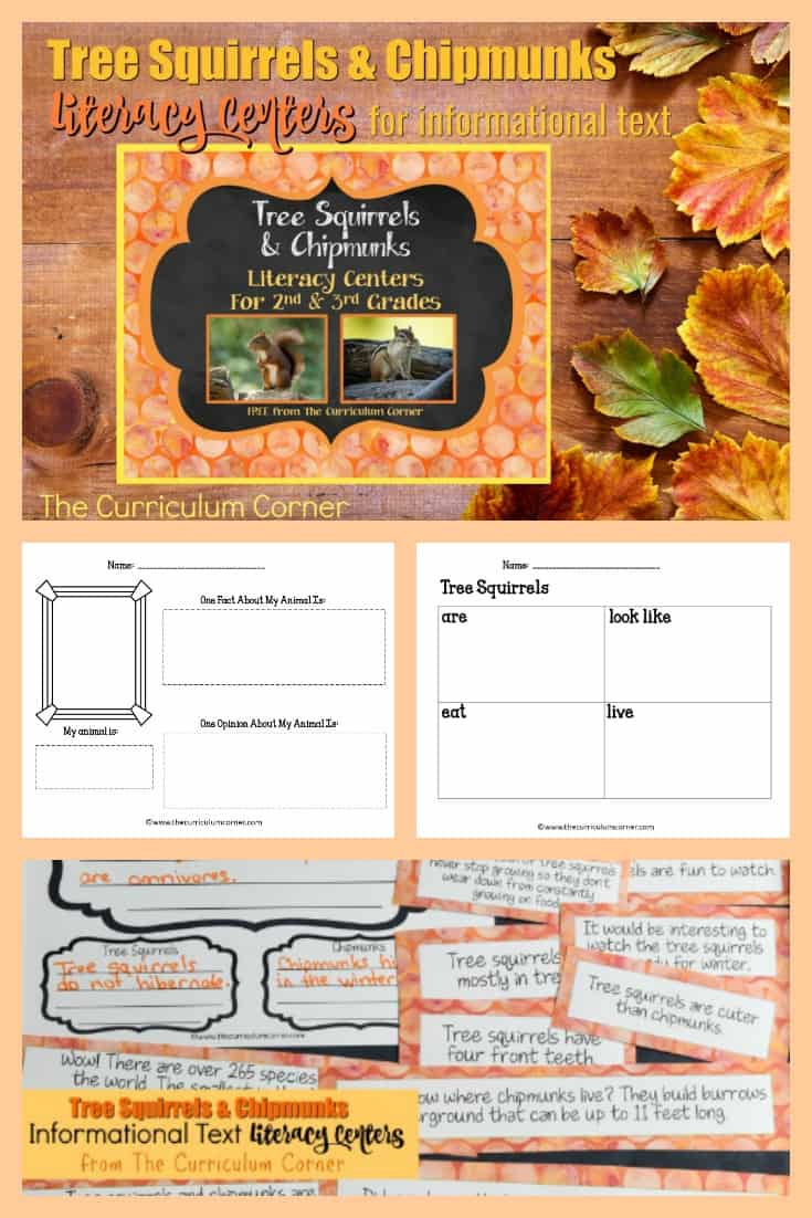 Tree Squirrels & Chipmunks Literacy Centers - The Curriculum Corner 123