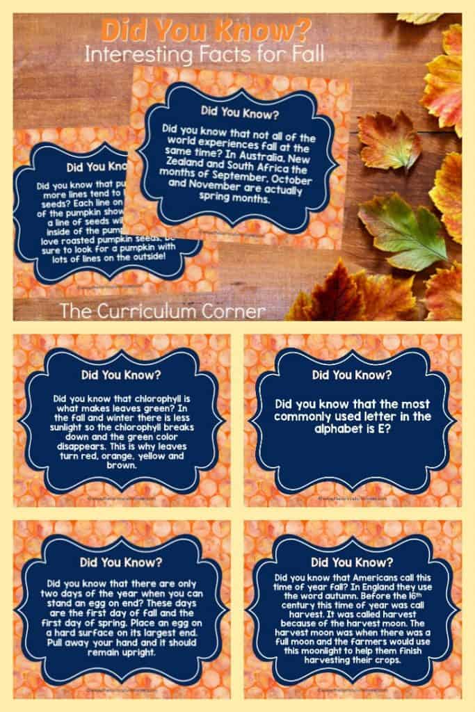 Fall Fun Facts 2024 - Cyndy Katine Fall Fun Facts 2024 - Cyndy Katine