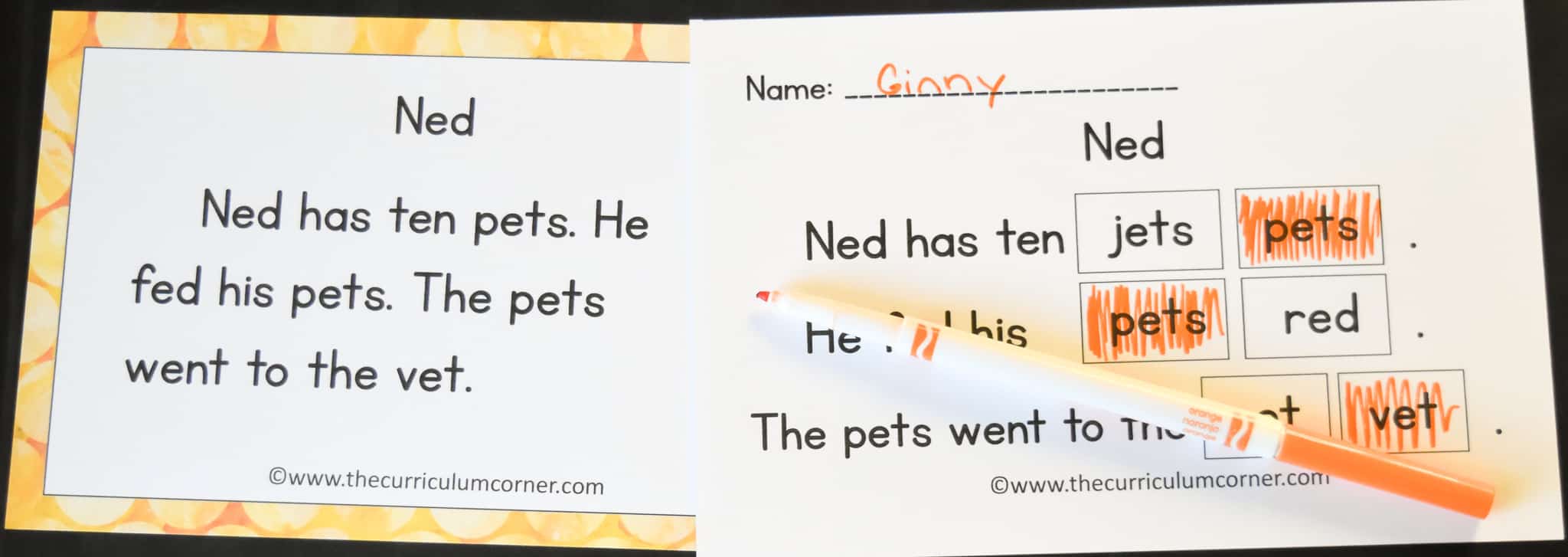 short e fluency passages and comprehension pages free from The ...