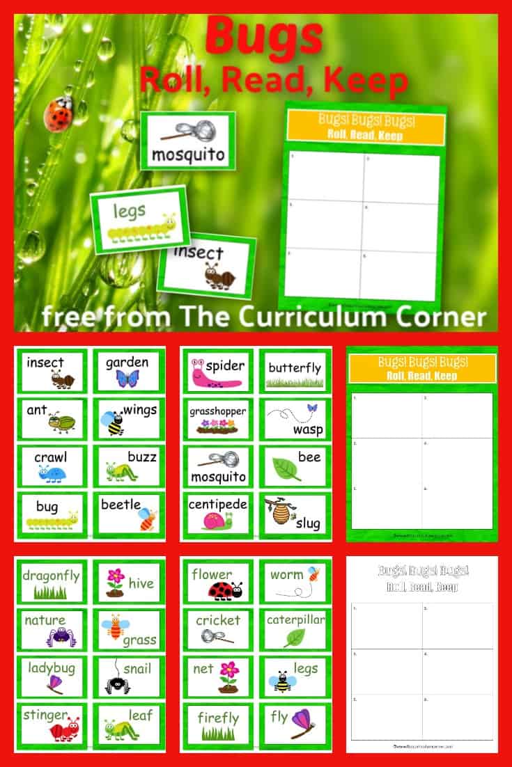 Bugs Roll, Read & Keep - The Curriculum Corner 123