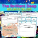 Ocean Themed Collection - The Curriculum Corner 123
