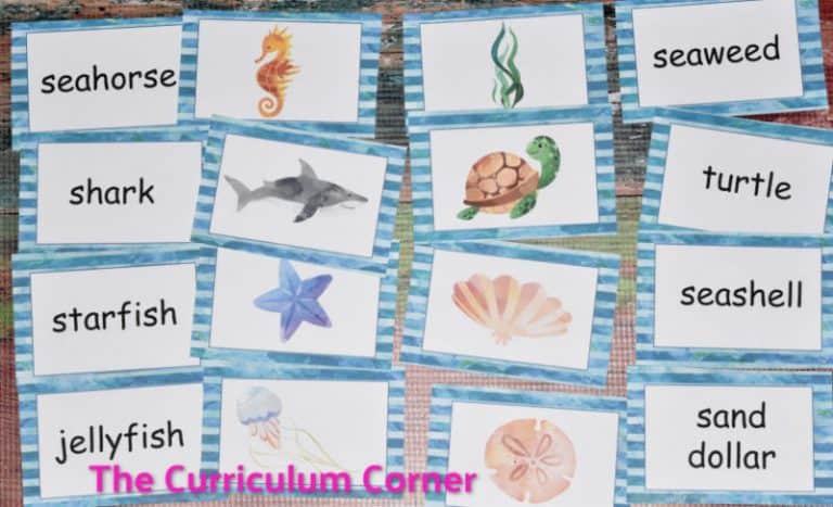 ocean literacy set 3 - The Curriculum Corner 123