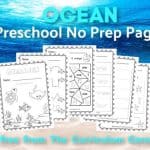 Ocean Themed Collection - The Curriculum Corner 123