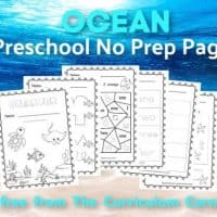 Ocean Themed Collection - The Curriculum Corner 123