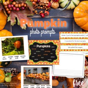 Pumpkin No Prep pages - The Curriculum Corner 123