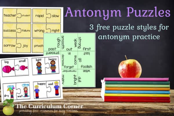 Antonym Puzzles - The Curriculum Corner 123