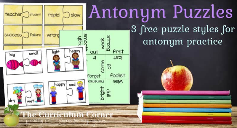 Antonym Puzzles - The Curriculum Corner 123