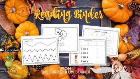 November Collection - The Curriculum Corner 123