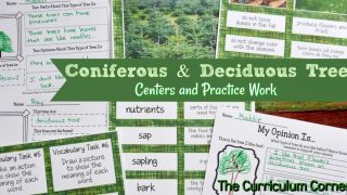 December Collection - The Curriculum Corner 123