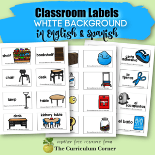 Editable Classroom Labels - The Curriculum Corner 123