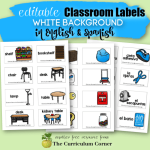 Editable Classroom Labels - The Curriculum Corner 123