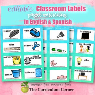 Editable Classroom Labels - The Curriculum Corner 123