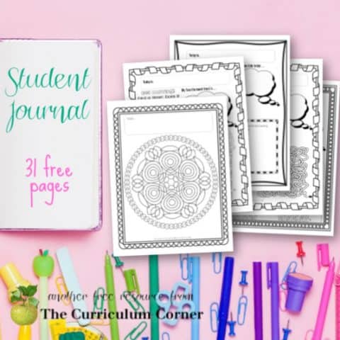 journal 1 feature - The Curriculum Corner 123
