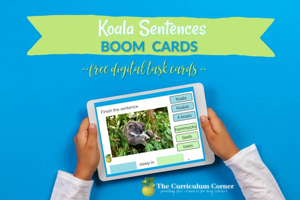 Boom Cards: Koala Sentences - The Curriculum Corner 123