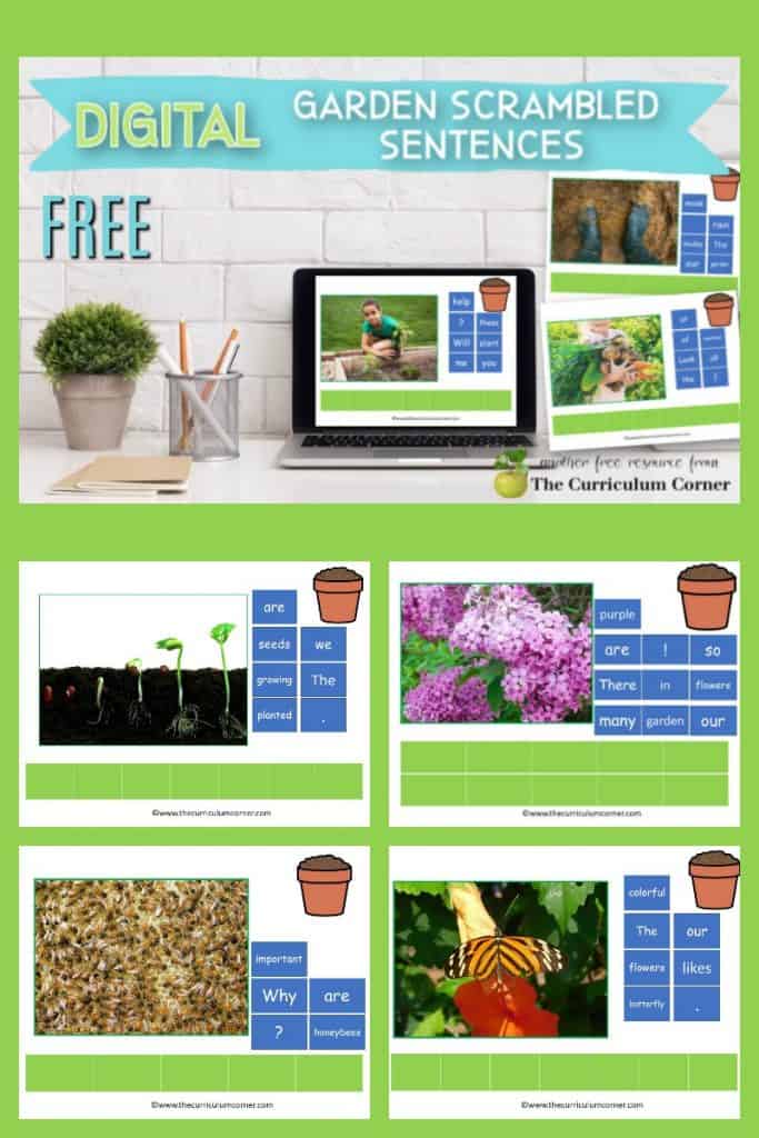 digital-garden-scrambled-sentences-1 - The Curriculum Corner 123