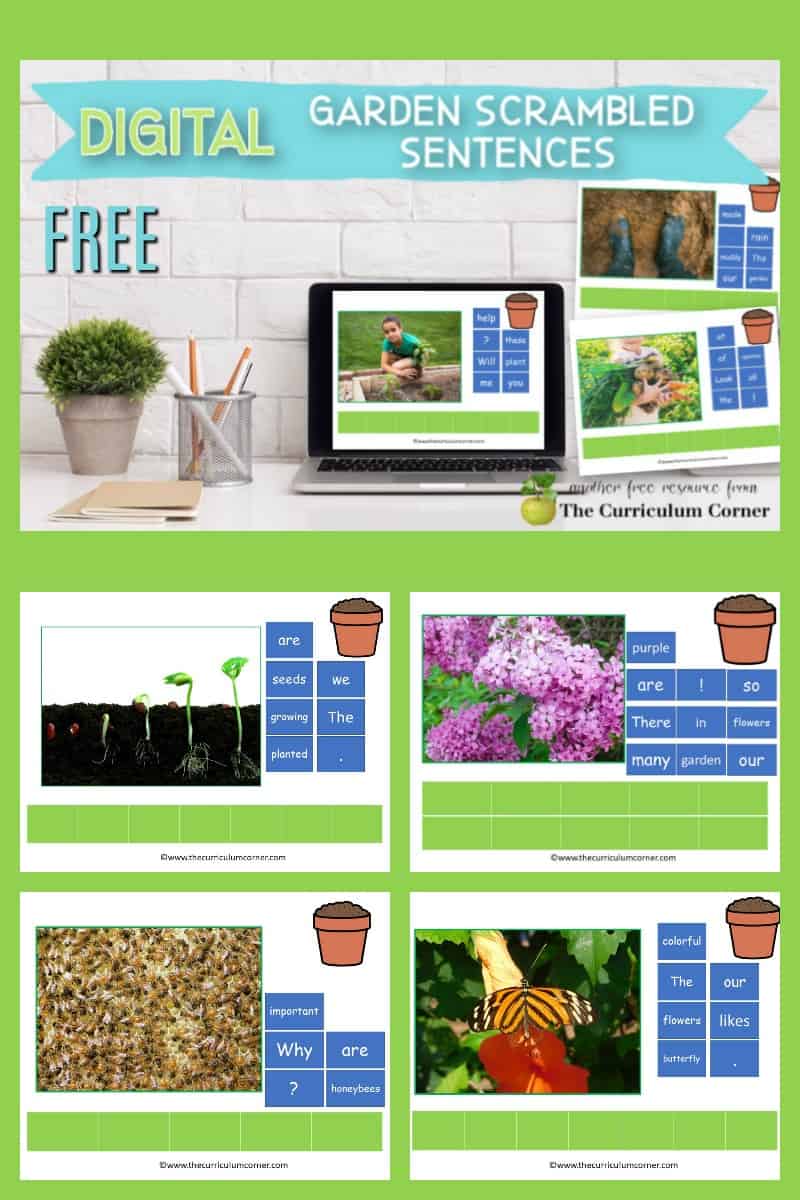 Digital: Garden Scrambled Sentences - The Curriculum Corner 123