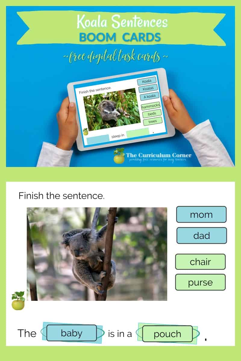 Boom Cards: Koala Sentences - The Curriculum Corner 123
