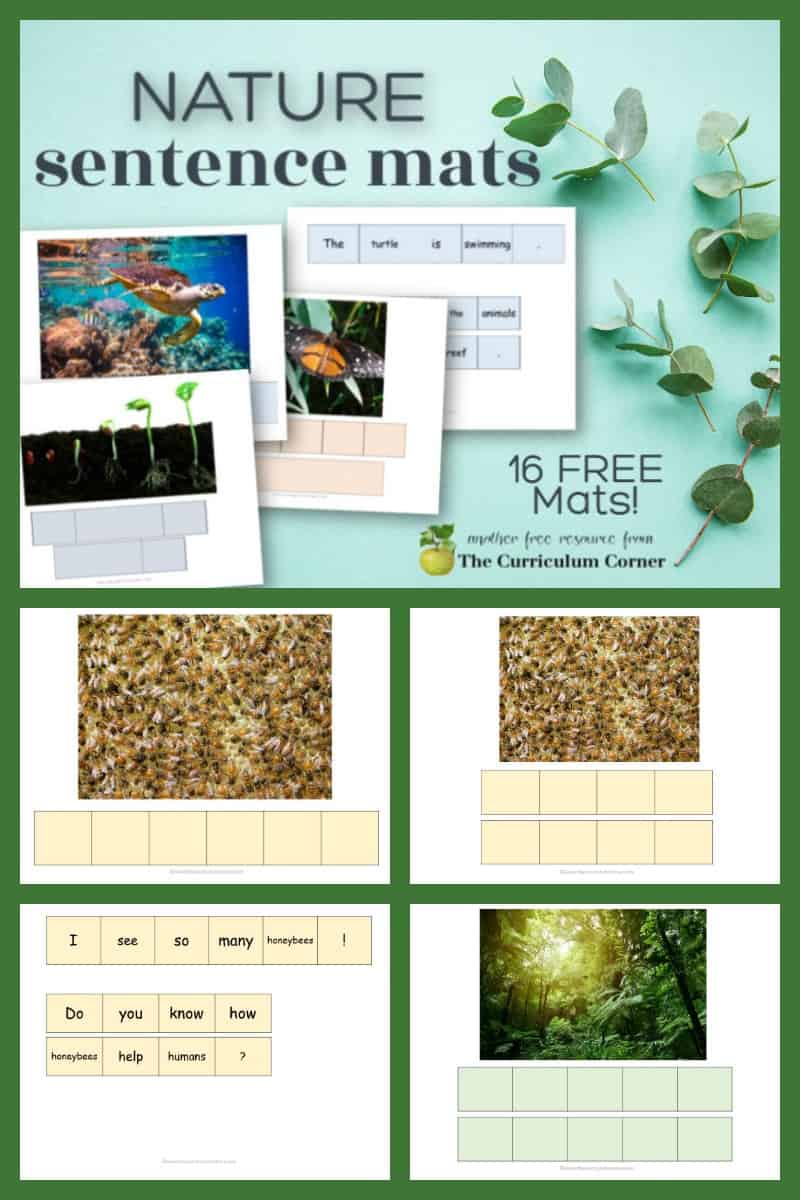 Nature Sentence Mats - The Curriculum Corner 123