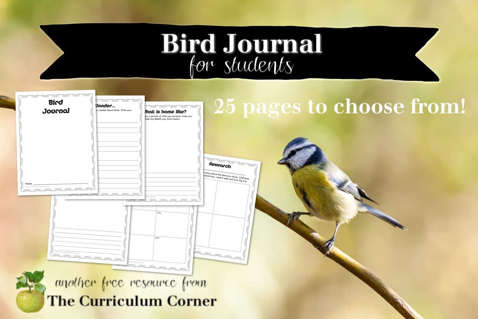 Bird Journal for Students - The Curriculum Corner 123