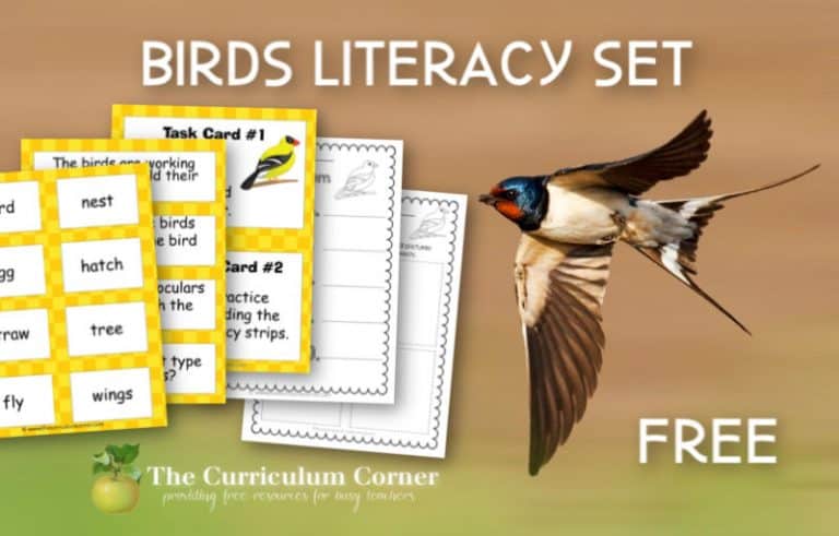 Birds Literacy Set - The Curriculum Corner 123