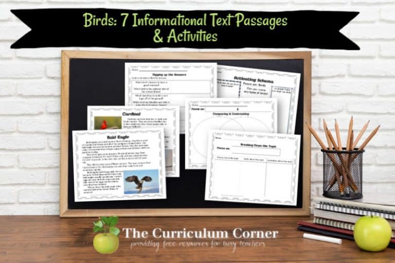 Informational Text Passages & Activities: Birds - The Curriculum Corner 123