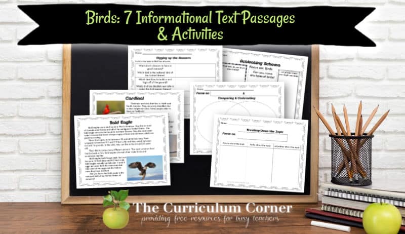 Informational Text Passages & Activities: Birds - The Curriculum Corner 123