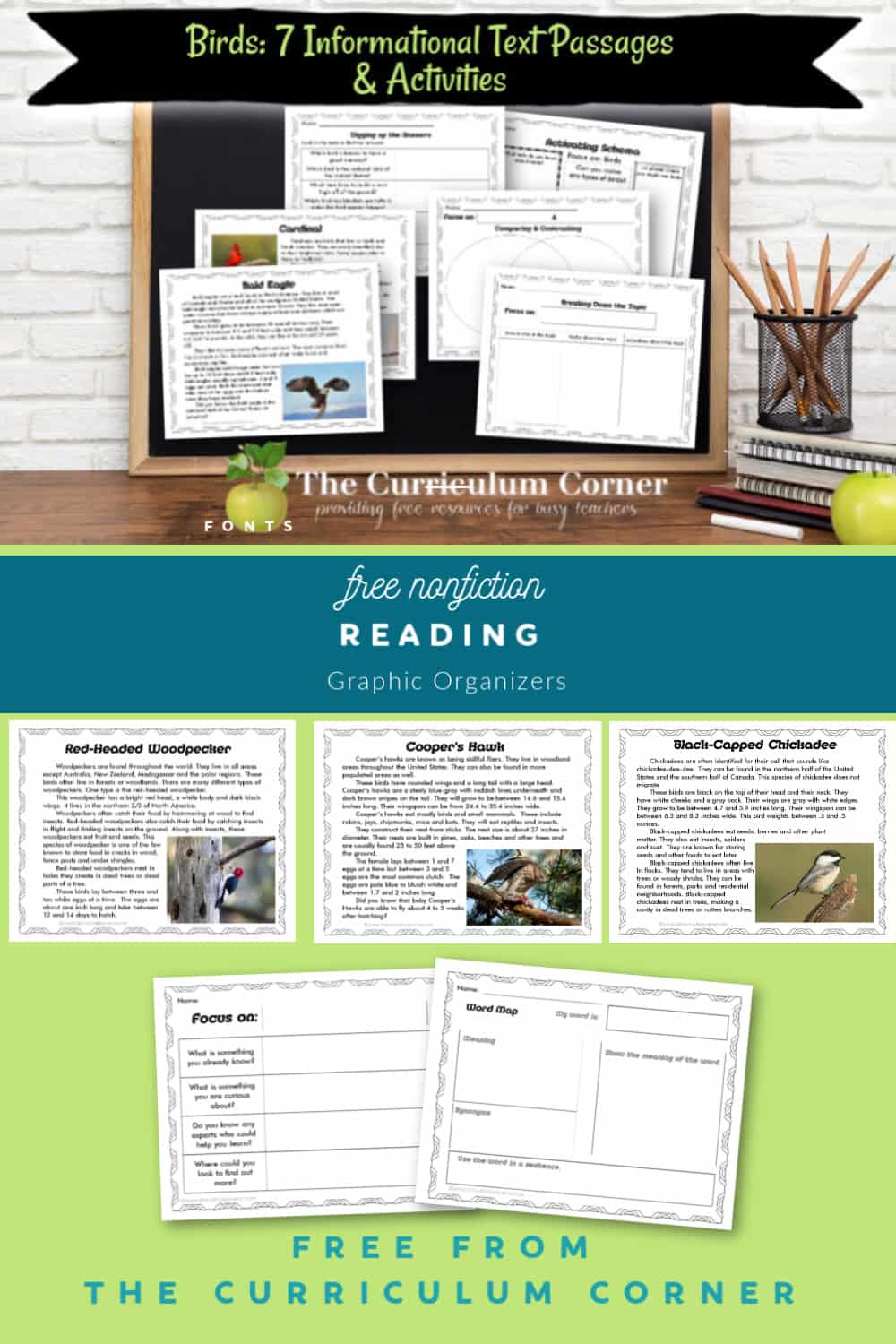Informational Text Passages & Activities: Birds - The Curriculum Corner 123